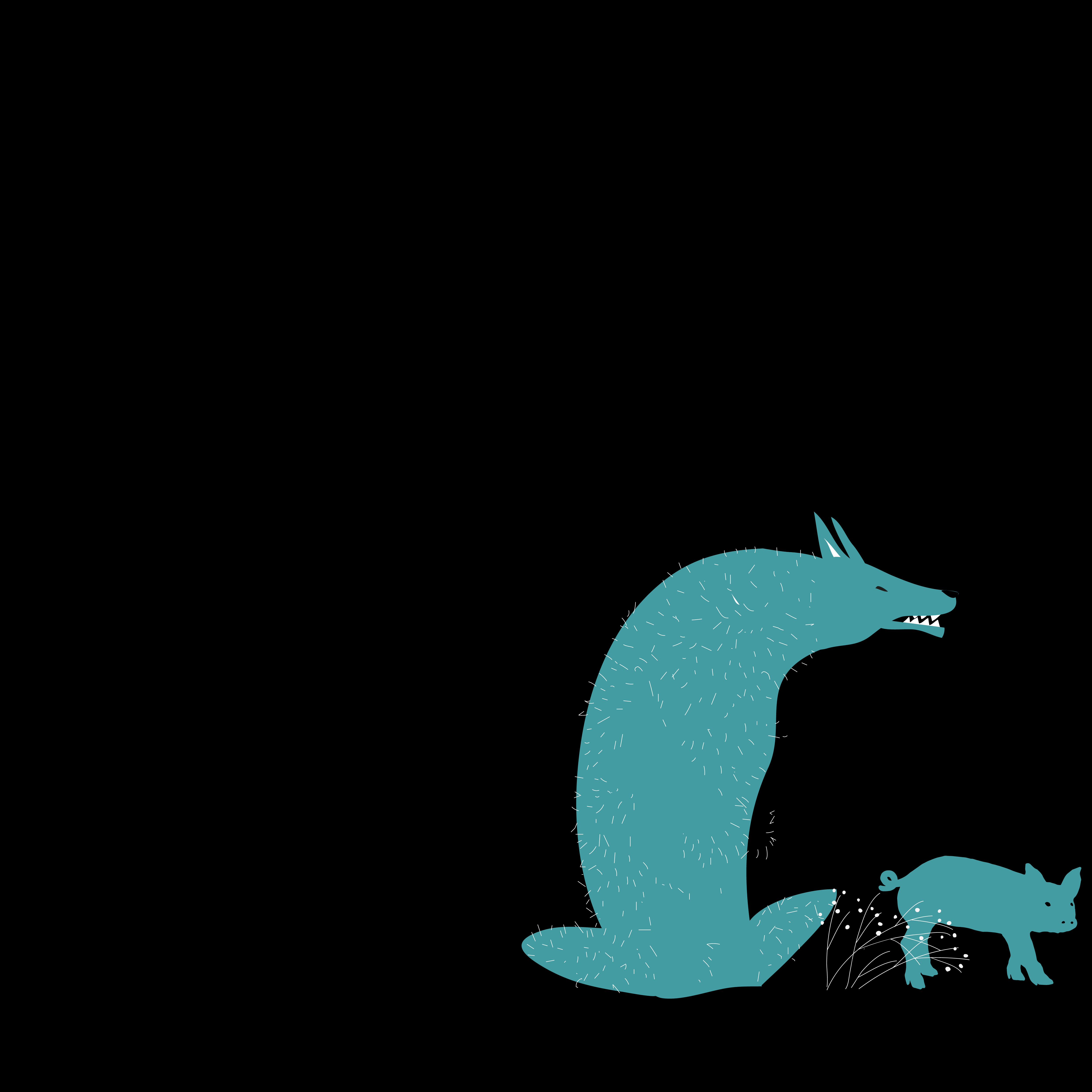 House Down Animation Studio - High Quality and Affordable